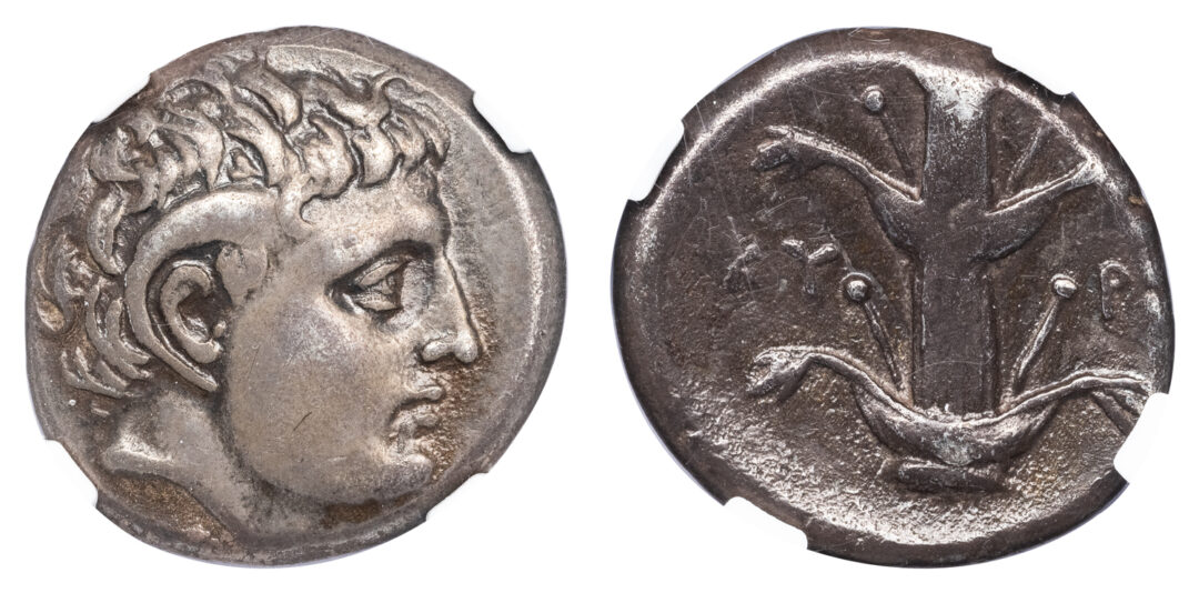 GREEK COINS | Vilmar Numismatics
